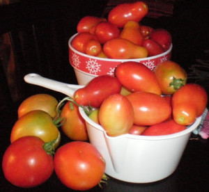 Slow Cooker Garden Stewed Tomatoes - KITCHEN SOUTHERN HOSPITALITY (KSH)